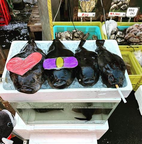 有吉弘行さんのインスタグラム写真 有吉弘行instagram「セーラームーン。」2月27日 17時54分 Ariyoshihiroiki