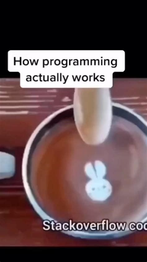 programming witzig lustig humor