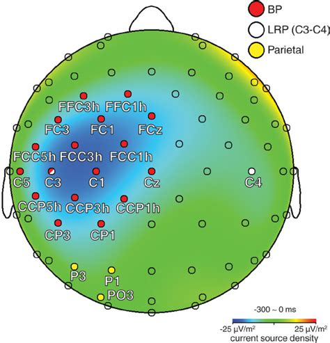 Eeg Recording And Analyses Montage Eighty Scalp Electrodes Were Download Scientific Diagram