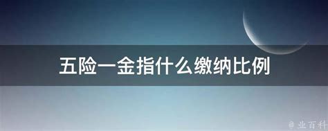 五险一金指什么缴纳比例 业百科