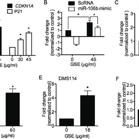 GSE Signifi Cantly Increased A MRNA Expressions Of CDKN1A And P21