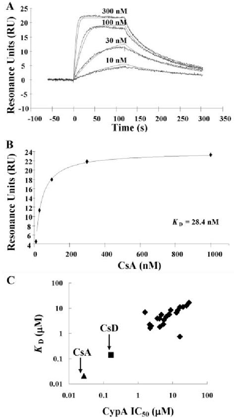 Figure 3 From Use Of A Real Time Fluorescence Monitoring System For High Throughput Screening