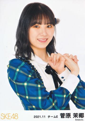駿河屋 菅原茉椰上半身ske48 2021年11月度 ランダム生写真チームe（女性生写真）