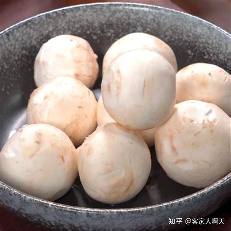 白蘑菇的家常做法客家人啊天教你制作孩子都爱吃的白蘑菇炒蛋 知乎