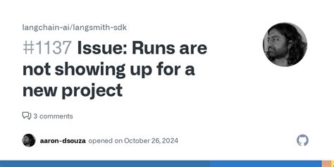 Issue Runs Are Not Showing Up For A New Project Issue