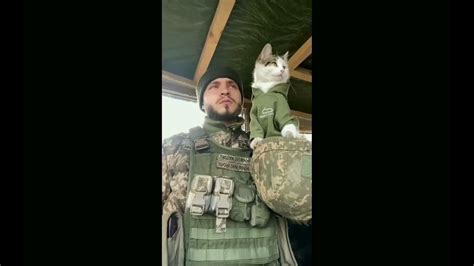 Кіт Муркіт 😸🇺🇦 - YouTube