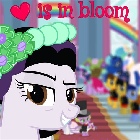 Twilight Sparkle Clop