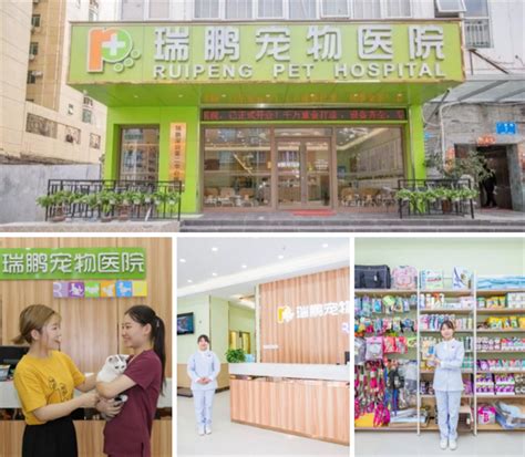 瑞鹏宠物医院瑞鹏宠物医院加盟瑞鹏宠物医院加盟费多少钱 新瑞鹏宠物医疗集团有限公司－项目网