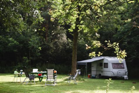 Slapen In Het Bos Logeren Bij De Boswachter