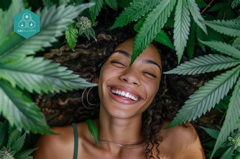 Explora Qué Es El Cbd Y Sus Usos Cbd Alchemy