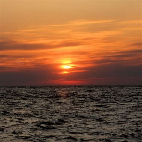 Charley Johnson🩷 Youtube