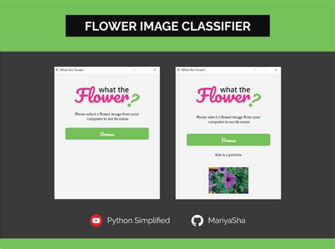 GitHub MariyaSha FlowerImageClassifier GUI A Revamped Version Of My