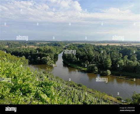 The Confluence Of The Labe River Elbe And The Vltava River By Melnik
