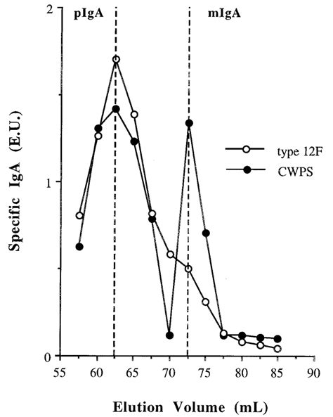 Molecular Form Of Pneumococcal Cell Wall Polysaccharide Cwps Specific Download Scientific