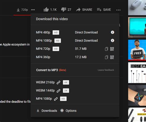 Youtube Video Downloader Chrome Extension 2020 Polrereports