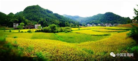 湖北恩施宣恩李家河宣恩家河宣恩县家河镇大山谷图库