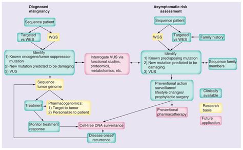 The Role Of Genome Sequencing In Personalized Medicine Mybiosource