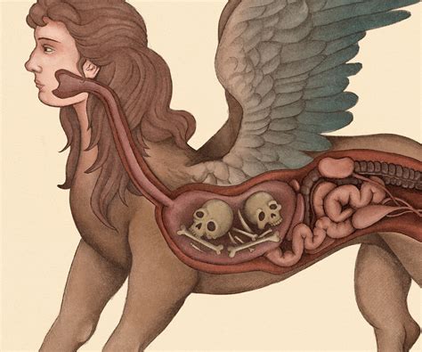 The Anatomy Of A Sphinx Behance
