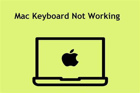 mac keyboard not working 7 simple fixes for you to try minitool