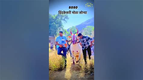 चतुर्थ हिंदकेसरी मोठा सोन्या 5050 ️🔥 ️👑 Hindkesari Sonya Viral