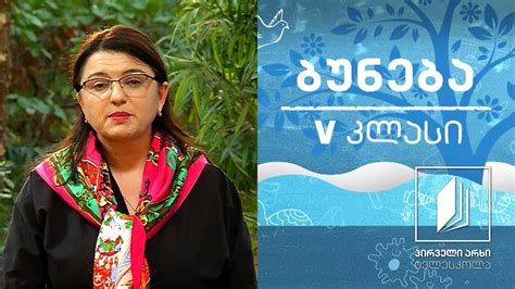 ბუნება V კლასი საქართველოს ტყეები წითელი წიგნი ტელესკოლა Youtube