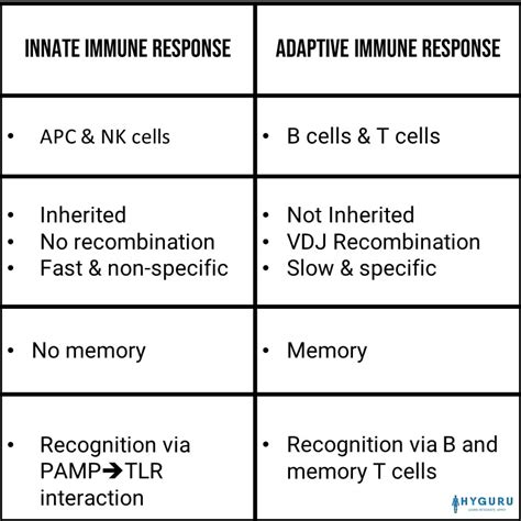 Innate Vs Adaptive Immunity