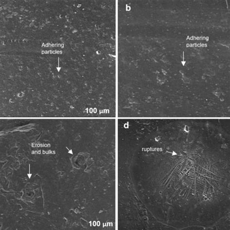 Scanning Electron Microscopy A And B New Ldpe Without Treatment C Download Scientific