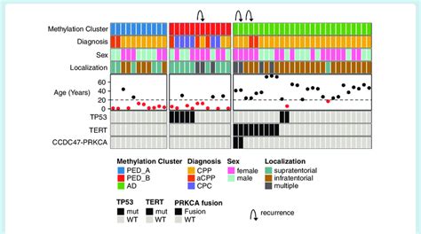 Summary Of Patient Characteristics And Molecular Alterations In Choroid