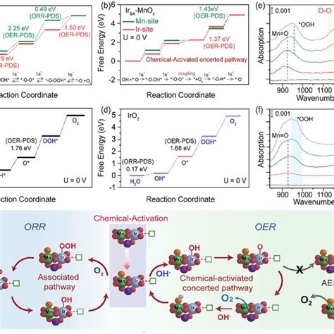 Dft Theoretical Models A Free Energy Diagram Of The 4e⁻ Reaction