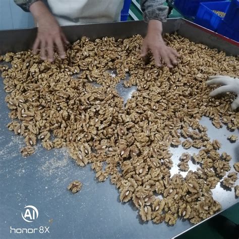 Xinjiang Walnut Kernels Lh 2022 Crop China Shelled And Peeled