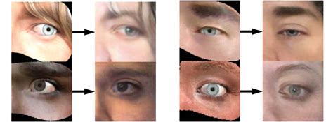 Gaze Estimation And Gans Driving Model Performance With Synthetic Data Iv Synthesis Ai