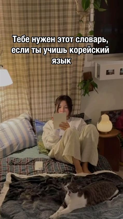 Онлайн школа корейского языка 🇰🇷 Как получить словарь 👇🏻 В этом