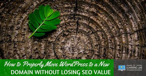 how to move wordpress to new domain without losing seo value