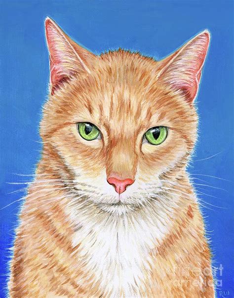 How To Draw An Orange Tabby Cat