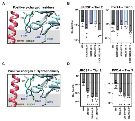 Contribution Of Charge And Hydrophobicity At Interface In The Download Scientific Diagram