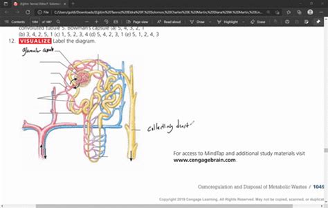 SOLVED Label The Diagram