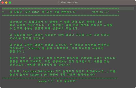 vimtutor를 이용해 vim 명령어를 배워보자 재그지그의 개발 블로그