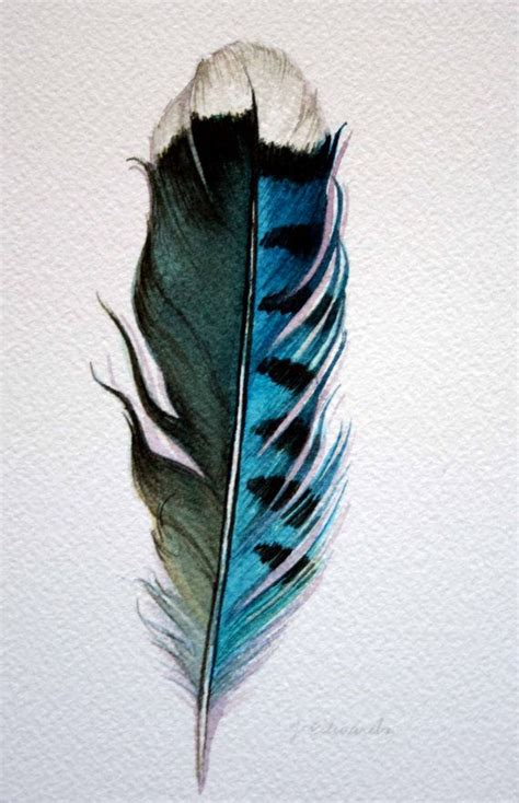Original Watercolor Feather Study 178 Blue Jay Watercolor Feather