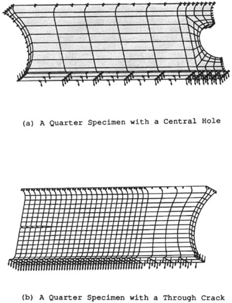 Examples Of Finite Element Models Used For The Biaxial Strip Specimens