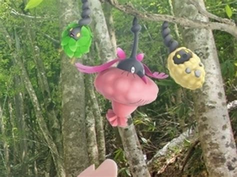 Burmy Evolution Chart