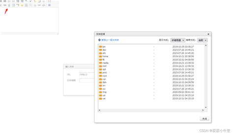 ctfshow web 信息收集