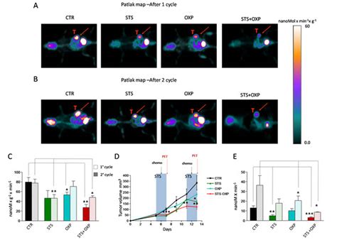 Oncotarget Fasting Induces Anti Warburg Effect That Increases