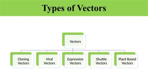 Introduction To Expression Vectors Pptx