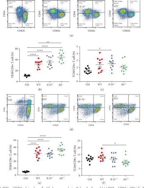 Figure 6 From The Role Of The Il 33st2 Axis In Cpg Induced Macrophage