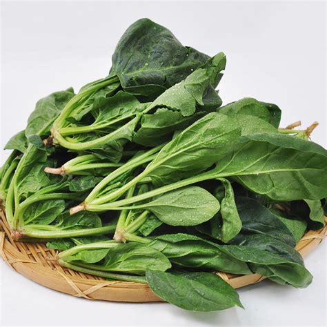 [푸르젠] 국내산 명품 시금치 1kg 홈플러스 택배배송