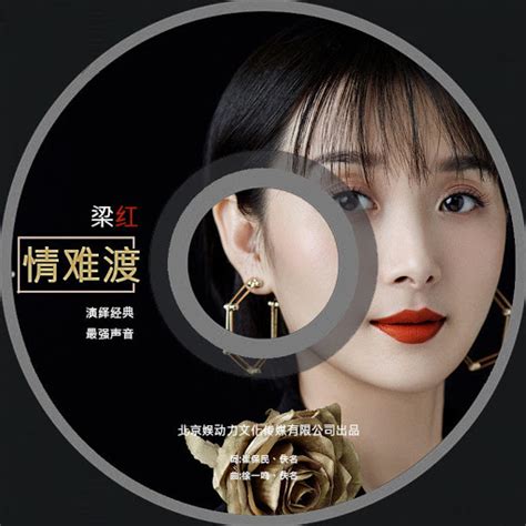 情难渡 Dj阿卓版 Youtube Music