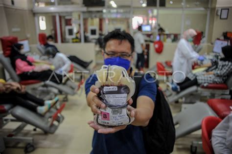 HARI DONOR DARAH SEDUNIA ANTARA Foto