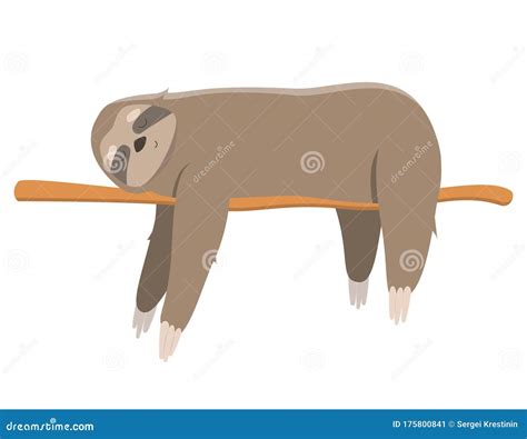 Sloth Sleeping On Branch Stock Illustration Illustration Of Funny