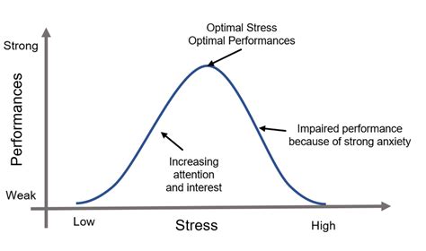 Graphical Curve Representing The Yerkes Dodson Law According To [19