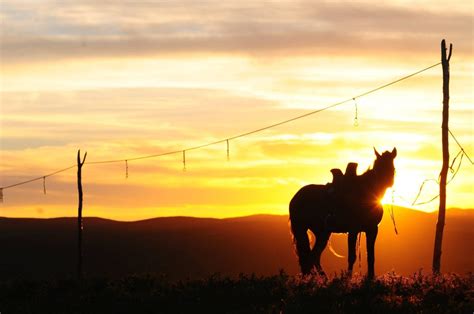 Тод манлай уяач Б Лхагва Очир Монгол адууга хаяж болохгүй 💯🏇🏾 • 𝑀𝑜𝑙𝑜𝑝 𝐸𝑝𝑑𝑒𝑛𝑒 • Facebook